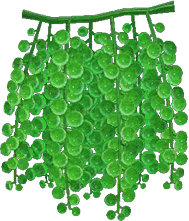 Sea Grapes Animal Crossing New Horizons | ACNH Critter - ACNHMALL