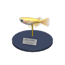 Killifish Model Animal Crossing New Horizons | ACNH Critter - ACNHMALL