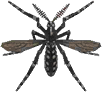 Mosquito Animal Crossing New Horizons | ACNH Critter - ACNHMALL